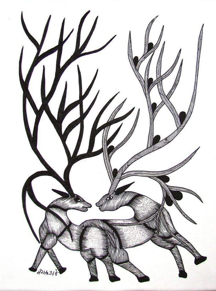 Bucks Fighting Drawing