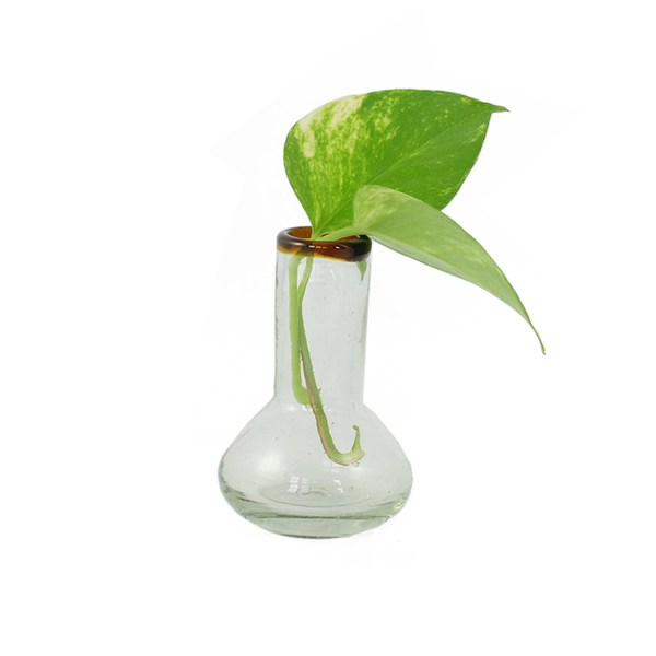 Small Amber Rim Bulb Glass Vase - TerraKlay